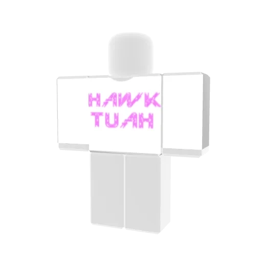 HAWK TUAH - Skin for Roblox by Trynten Maggard